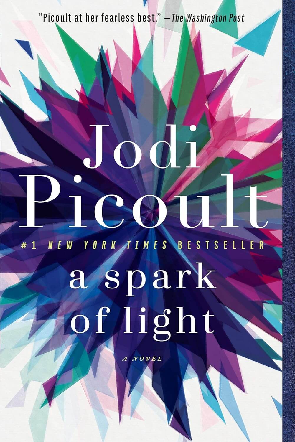BOOK REVIEW: A Spark of Light by Jodi Picoult | Author Suanne Schafer